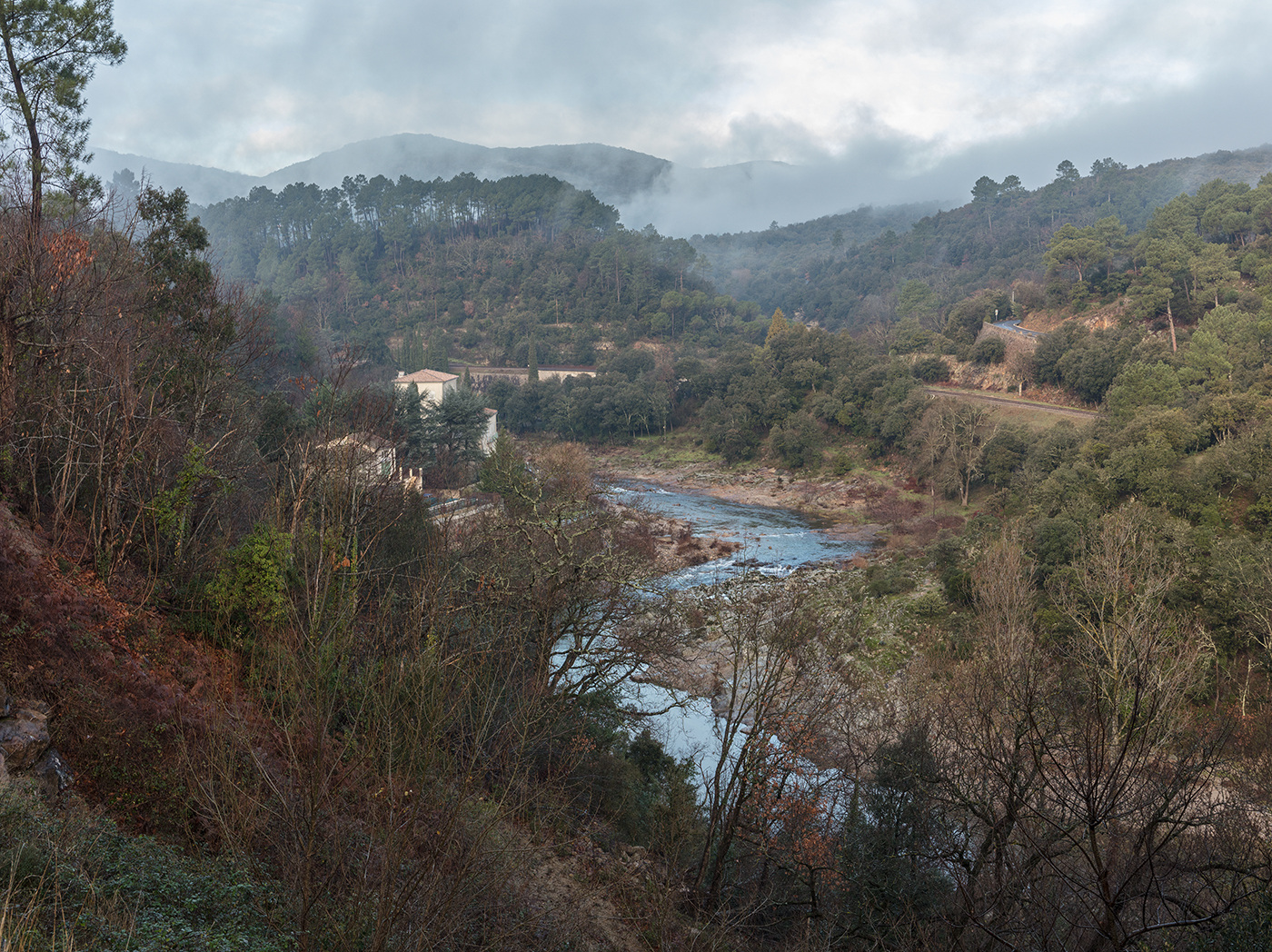 Eric Tabuchi – wertn.com