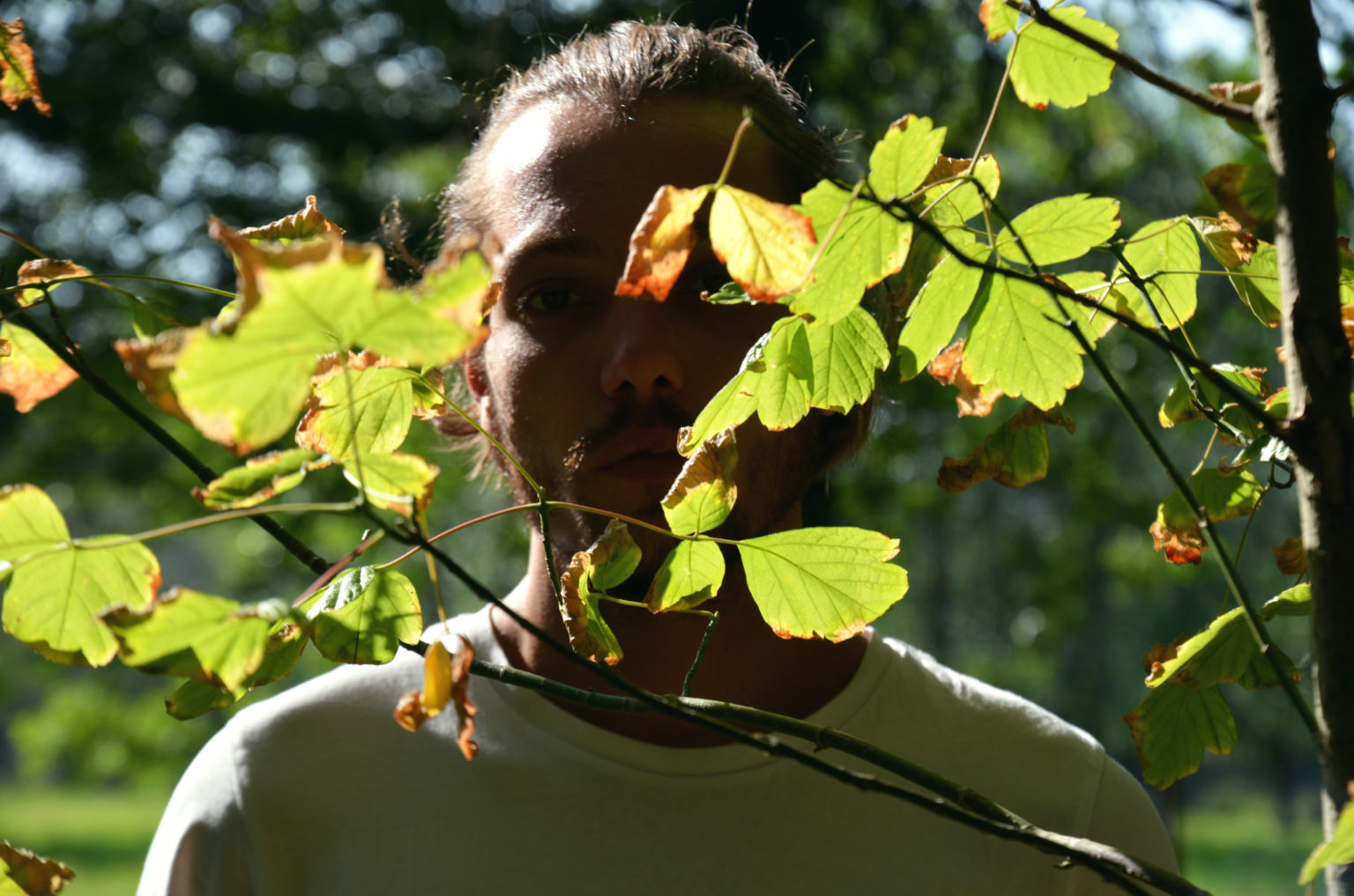 Simon Brunel – wertn.com